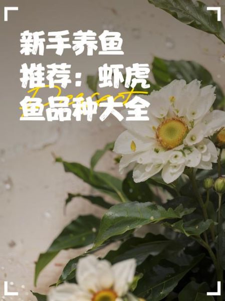 虾虎鱼怎么养_虾虎鱼能和什么鱼混养-第2张图片-山城妙识
