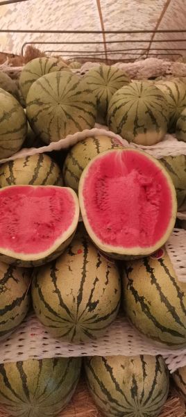 西瓜价格多少钱一斤_2024年最新行情-第2张图片-山城妙识