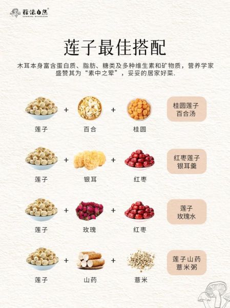 莲子吃多了会怎么样_莲子一天吃多少粒合适-第2张图片-山城妙识