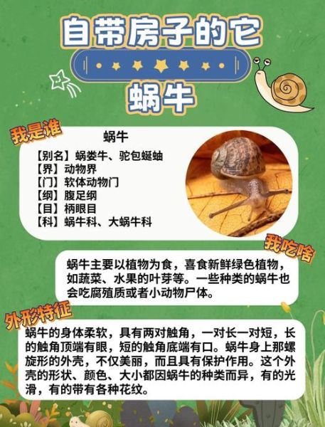 蜗牛是益虫还是害虫_如何区分-第1张图片-山城妙识