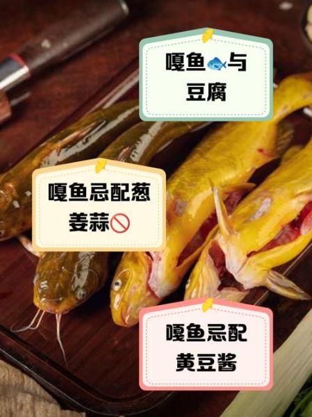 嘎鱼的做法大全_嘎鱼的功效与作用-第3张图片-山城妙识