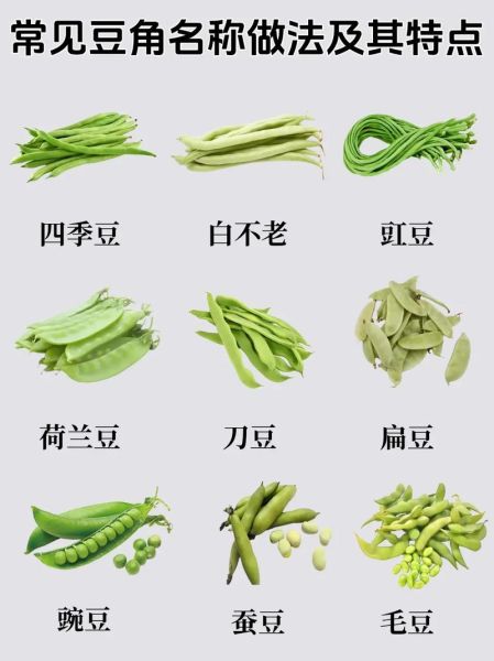 姜豆怎么种_姜豆和黄豆区别-第1张图片-山城妙识