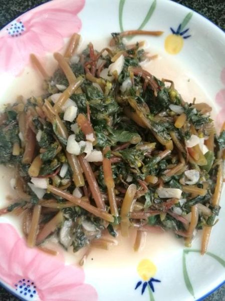 蚂蚱菜凉拌怎么做_蚂蚱菜凉拌需要焯水吗-第1张图片-山城妙识