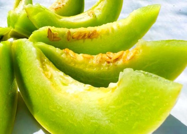 白兰瓜是水果还是蔬菜_白兰瓜属于哪一类-第2张图片-山城妙识