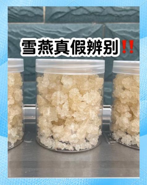 雪燕是什么样子_雪燕真假怎么分辨-第1张图片-山城妙识