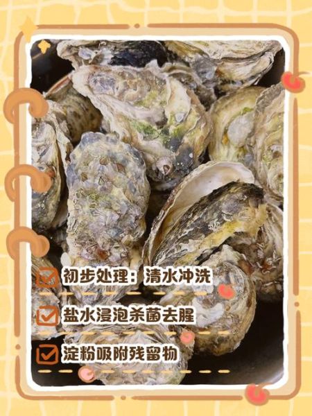 生蚝怎么开壳_生蚝怎么清洗才干净-第1张图片-山城妙识 生蚝怎么开壳_生蚝怎么清洗才干净-第1张图片-山城妙识