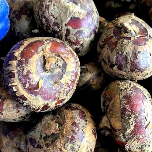 荸荠煮多久能熟_荸荠煮几分钟才软-第3张图片-山城妙识