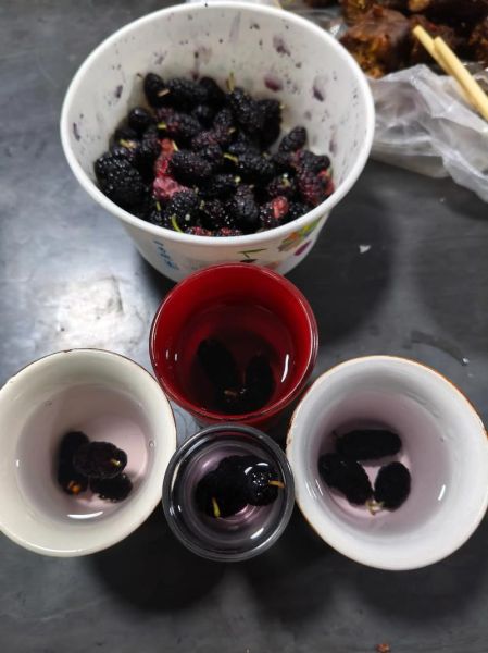 桑葚酒的家庭做法_自制桑葚酒要不要洗-第3张图片-山城妙识