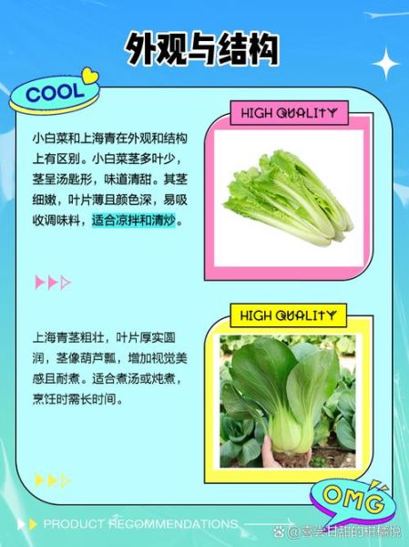 小白菜焯水好还是不焯水好_营养保留与口感对比-第2张图片-山城妙识 小白菜焯水好还是不焯水好_营养保留与口感对比-第2张图片-山城妙识