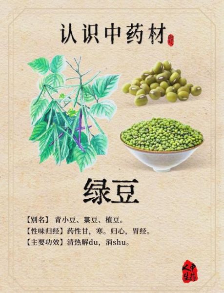 绿豆解药吗是真的吗_吃中药能吃绿豆吗-第1张图片-山城妙识 绿豆解药吗是真的吗_吃中药能吃绿豆吗-第1张图片-山城妙识