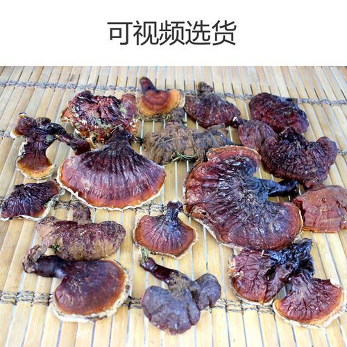 最贵的野生灵芝多少钱一斤_野生灵芝价格为什么那么高-第3张图片-山城妙识