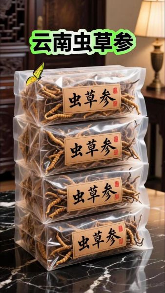 冬虫草有什么功效_冬虫草怎么吃效果最好-第1张图片-山城妙识 冬虫草有什么功效_冬虫草怎么吃效果最好-第1张图片-山城妙识