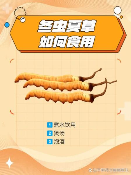 冬虫草有什么功效_冬虫草怎么吃效果最好-第2张图片-山城妙识 冬虫草有什么功效_冬虫草怎么吃效果最好-第2张图片-山城妙识