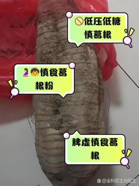 粉葛的功效与作用禁忌_哪些人不宜吃-第3张图片-山城妙识 粉葛的功效与作用禁忌_哪些人不宜吃-第3张图片-山城妙识