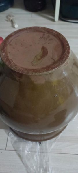 酸菜坛子作品集哪里看_酸菜坛子作品顺序怎么看-第2张图片-山城妙识