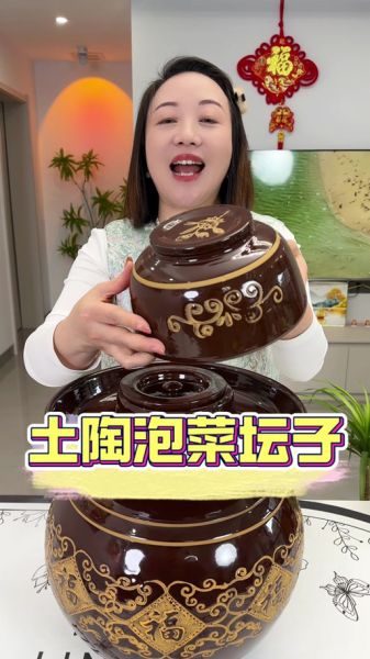 酸菜坛子作品集哪里看_酸菜坛子作品顺序怎么看-第3张图片-山城妙识