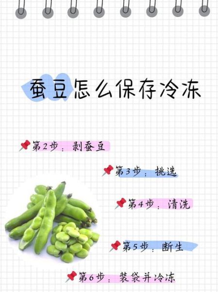 新鲜蚕豆怎么保存_新鲜蚕豆可以冷冻吗-第3张图片-山城妙识
