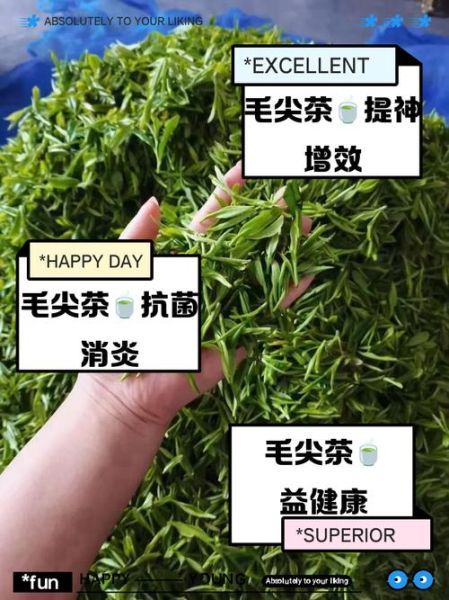 毛尖茶的功效与作用_毛尖茶的副作用有哪些-第1张图片-山城妙识