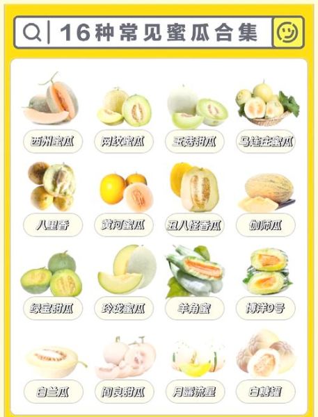 哈密瓜热量多少卡_减肥能吃吗-第1张图片-山城妙识