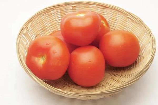 柿子什么时候成熟_如何判断柿子是否成熟-第2张图片-山城妙识