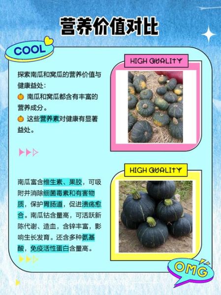 窝瓜的功效与作用有哪些_窝瓜的副作用是什么-第1张图片-山城妙识