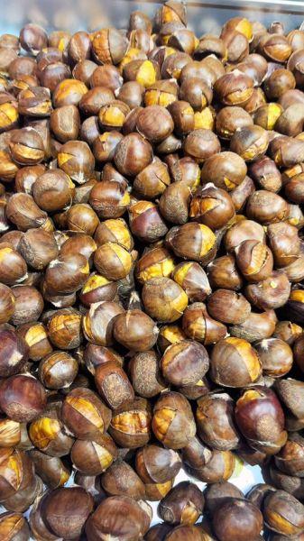 吃板栗会上火吗_板栗上火真相-第1张图片-山城妙识 吃板栗会上火吗_板栗上火真相-第1张图片-山城妙识