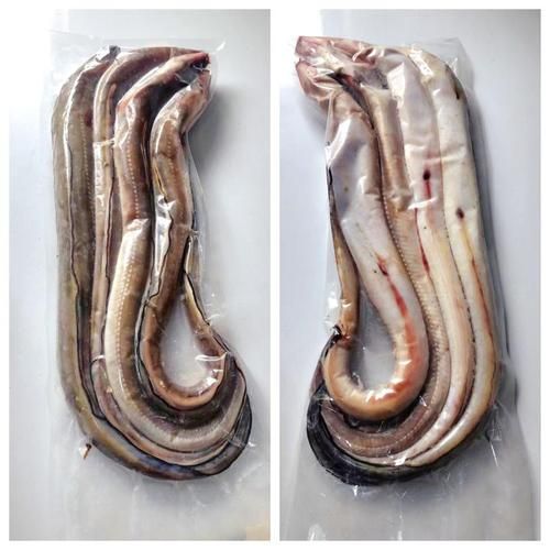 野生花鳗鱼多少钱一斤_野生花鳗鱼怎么做好吃-第3张图片-山城妙识 野生花鳗鱼多少钱一斤_野生花鳗鱼怎么做好吃-第3张图片-山城妙识