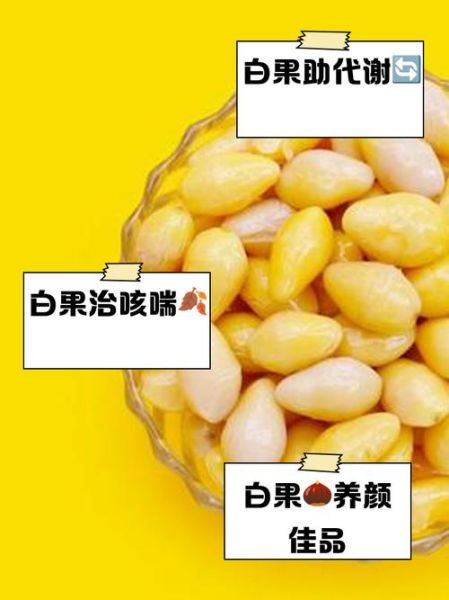 白果的功效与作用及食用方法_白果怎么吃才安全-第1张图片-山城妙识 白果的功效与作用及食用方法_白果怎么吃才安全-第1张图片-山城妙识