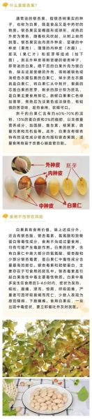 白果的功效与作用及食用方法_白果怎么吃才安全-第3张图片-山城妙识 白果的功效与作用及食用方法_白果怎么吃才安全-第3张图片-山城妙识