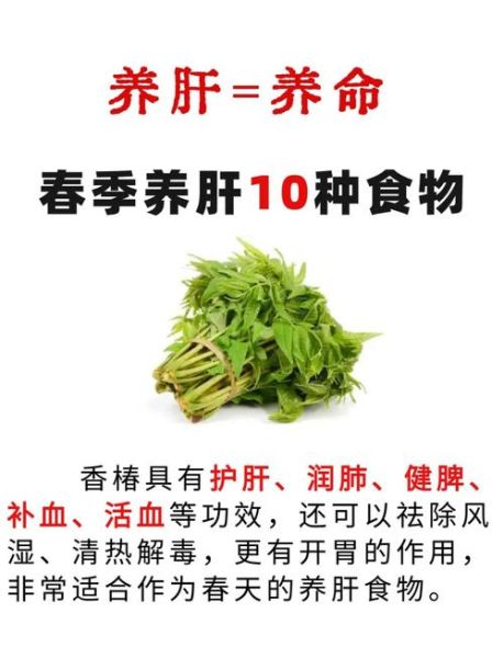 春天养肝吃什么食物好_春季护肝食谱推荐-第1张图片-山城妙识 春天养肝吃什么食物好_春季护肝食谱推荐-第1张图片-山城妙识