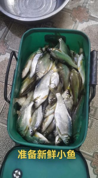 湖南腊鱼怎么做_湖南腊鱼怎么腌制-第1张图片-山城妙识 湖南腊鱼怎么做_湖南腊鱼怎么腌制-第1张图片-山城妙识