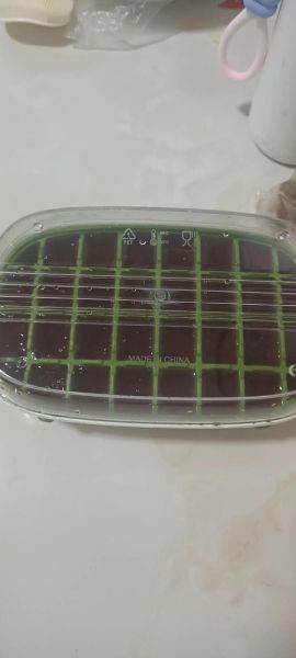 冰镇杨梅汁怎么做_冰镇杨梅汁做法窍门-第1张图片-山城妙识