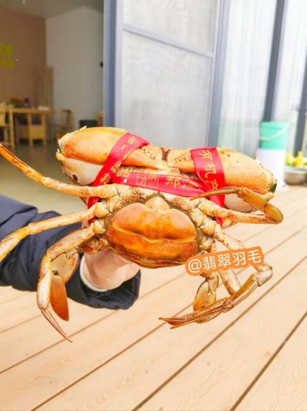 黄油蟹蟹是什么梗_黄油蟹蟹出处-第2张图片-山城妙识