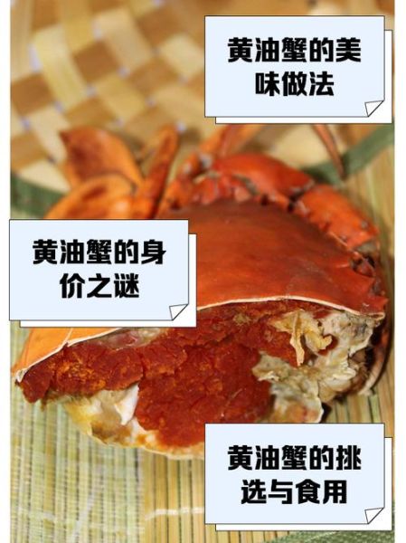 黄油蟹蟹是什么梗_黄油蟹蟹出处-第3张图片-山城妙识