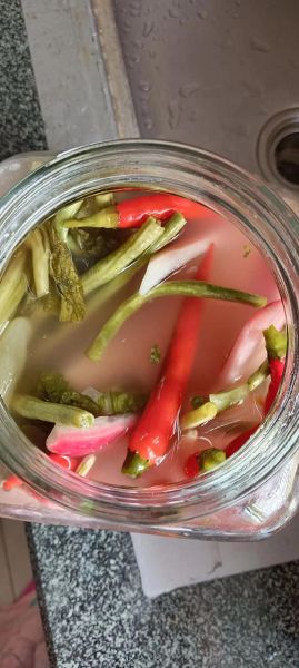 四川泡菜怎么做_四川泡菜正宗做法-第2张图片-山城妙识 四川泡菜怎么做_四川泡菜正宗做法-第2张图片-山城妙识