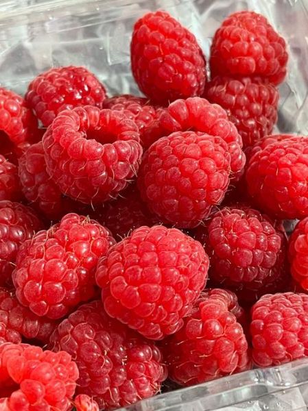 树莓的功效与作用有哪些_树莓怎么吃效果最好-第3张图片-山城妙识