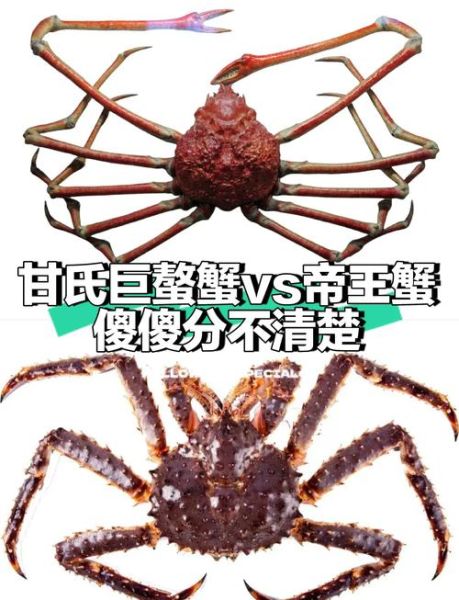 太子蟹和面包蟹的区别_哪个更好吃-第3张图片-山城妙识