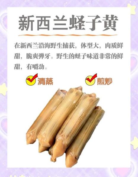 竹蛏子多少钱一斤_竹蛏子价格为什么波动大-第3张图片-山城妙识 竹蛏子多少钱一斤_竹蛏子价格为什么波动大-第3张图片-山城妙识