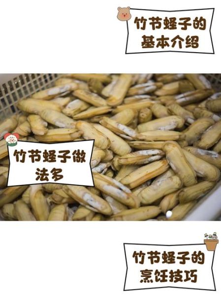竹蛏子多少钱一斤_竹蛏子价格为什么波动大-第1张图片-山城妙识 竹蛏子多少钱一斤_竹蛏子价格为什么波动大-第1张图片-山城妙识