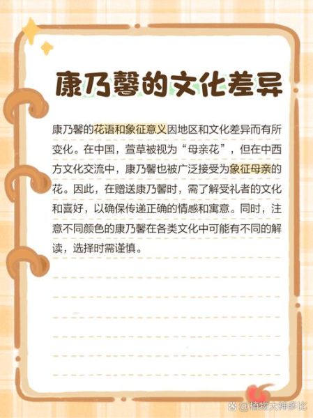 粉色康乃馨花语是什么_适合送什么人-第3张图片-山城妙识