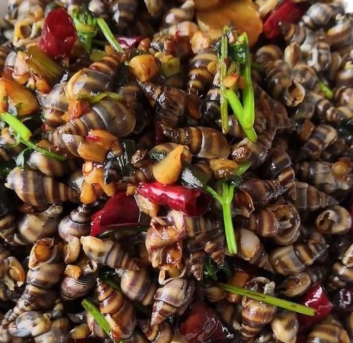 海螺怎么做好吃_海螺的家常做法-第1张图片-山城妙识