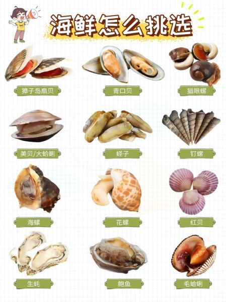 海鲜种类有哪些_海鲜怎么分类-第3张图片-山城妙识 海鲜种类有哪些_海鲜怎么分类-第3张图片-山城妙识