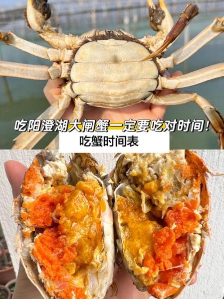大闸蟹几月份最肥美_最佳品尝时间-第1张图片-山城妙识 大闸蟹几月份最肥美_最佳品尝时间-第1张图片-山城妙识