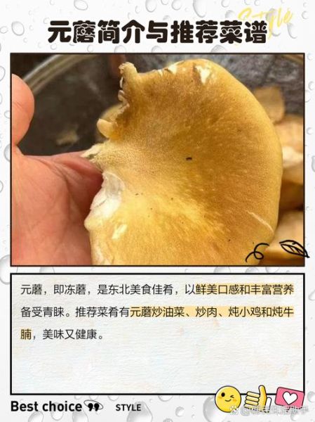 元蘑怎么做好吃_元蘑的家常做法大全-第1张图片-山城妙识