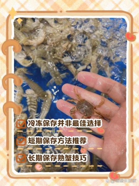 螃蟹怎么长期保存_活螃蟹能放冰箱多久-第2张图片-山城妙识