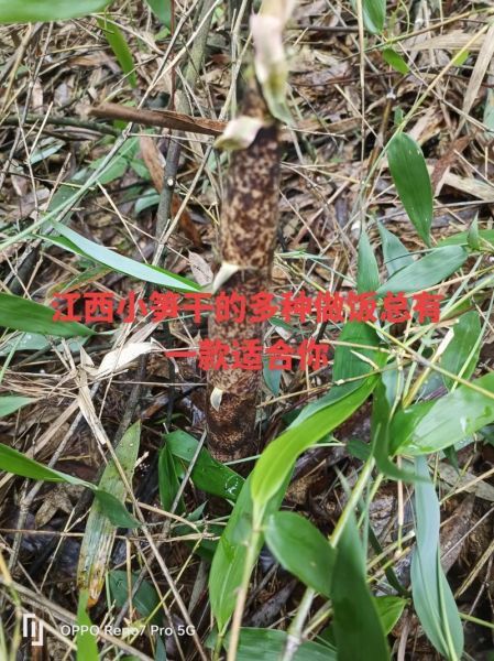 凉拌笋干怎么做_笋干要泡多久才软-第1张图片-山城妙识