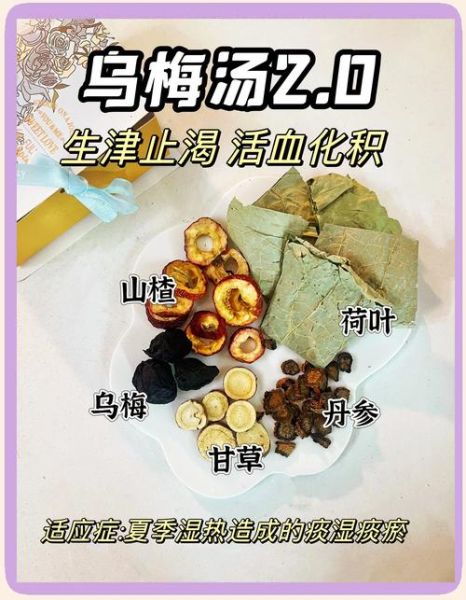 乌梅泡水喝一次放几个_乌梅泡水用量是多少-第2张图片-山城妙识