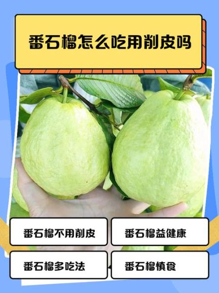 番石榴的籽很硬怎么吃_番石榴籽能不能吃-第1张图片-山城妙识