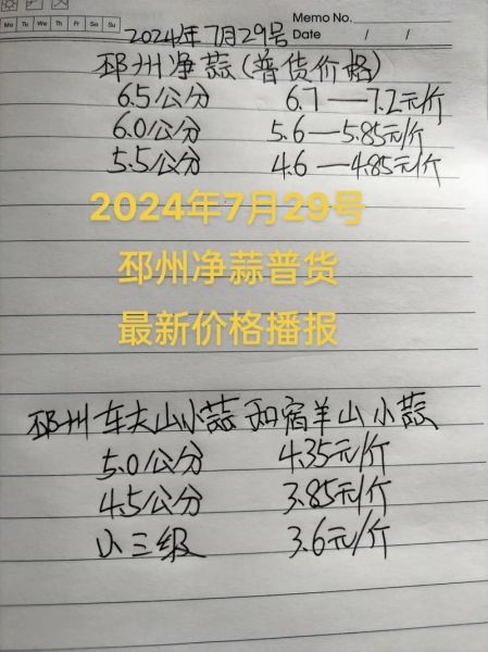 大蒜多少钱一斤_2024年最新行情-第2张图片-山城妙识