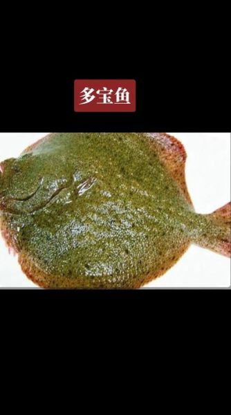 多宝鱼是海鱼吗_多宝鱼属于什么鱼-第2张图片-山城妙识